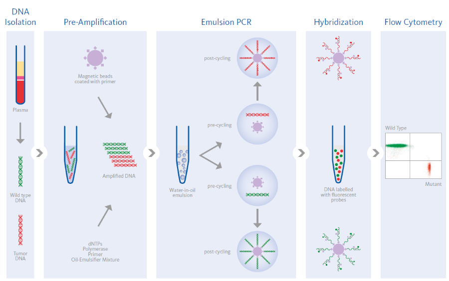 Beaming Pcr - The Best Picture Of Beam